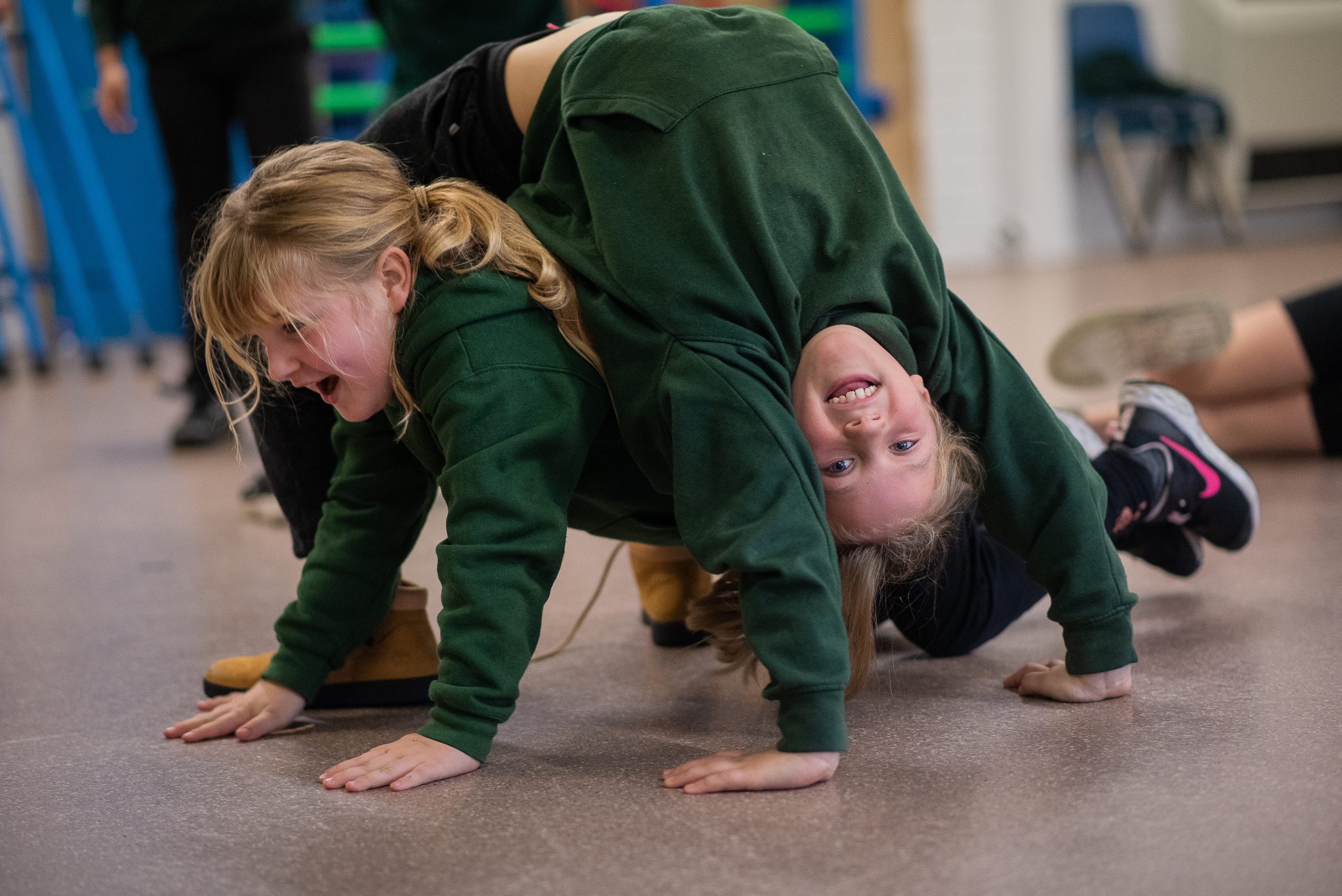 From Head to Toe...and everything in between! - Blue Moose Dance Company